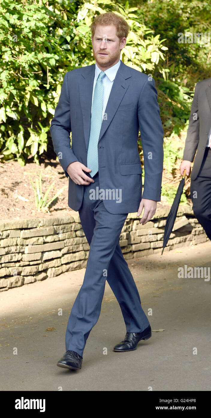 Prince Harry during a visit to the RHS Chelsea Flower Show, at the ...