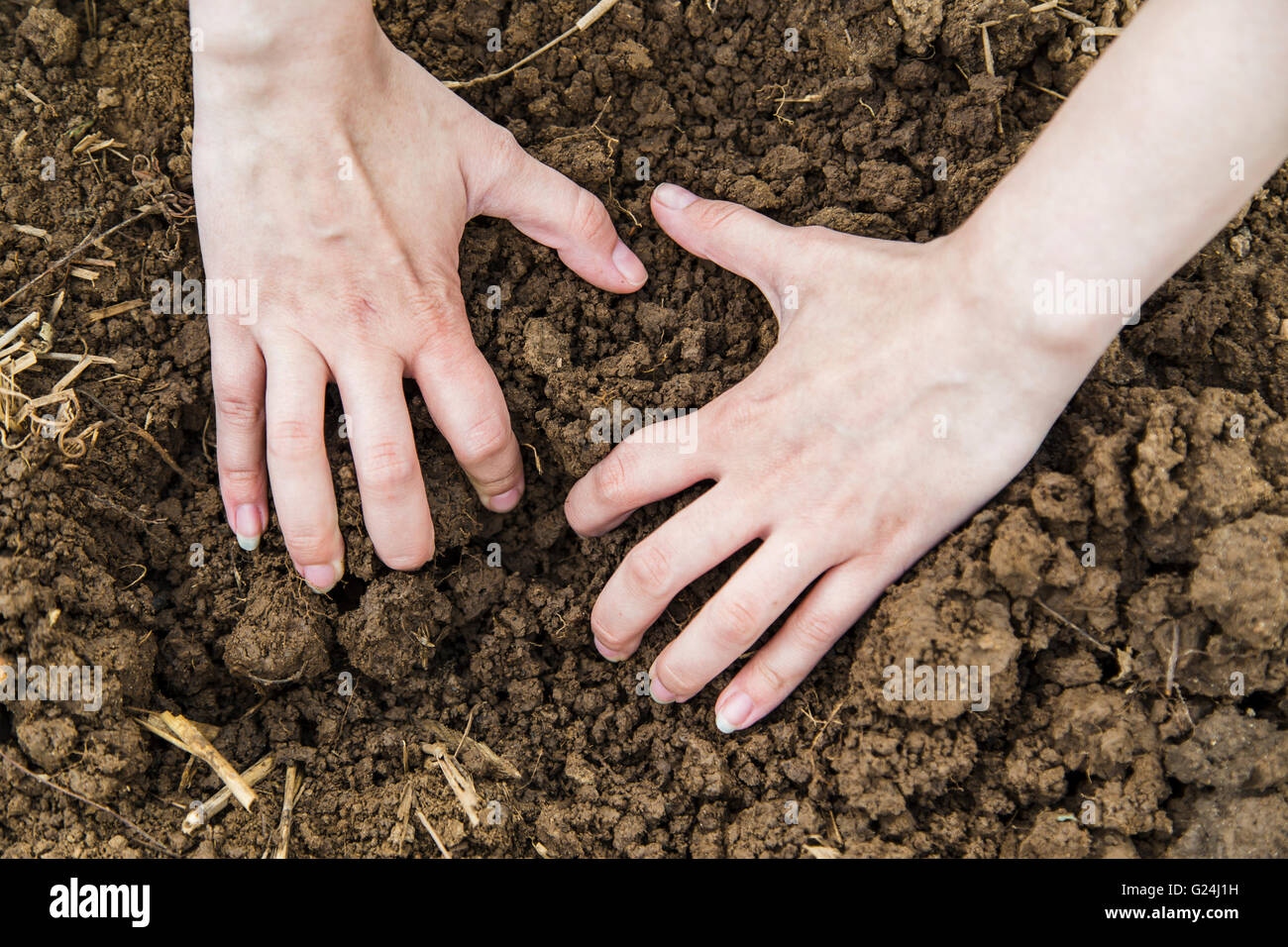 Woman hands digging ground Stock Photo - Alamy