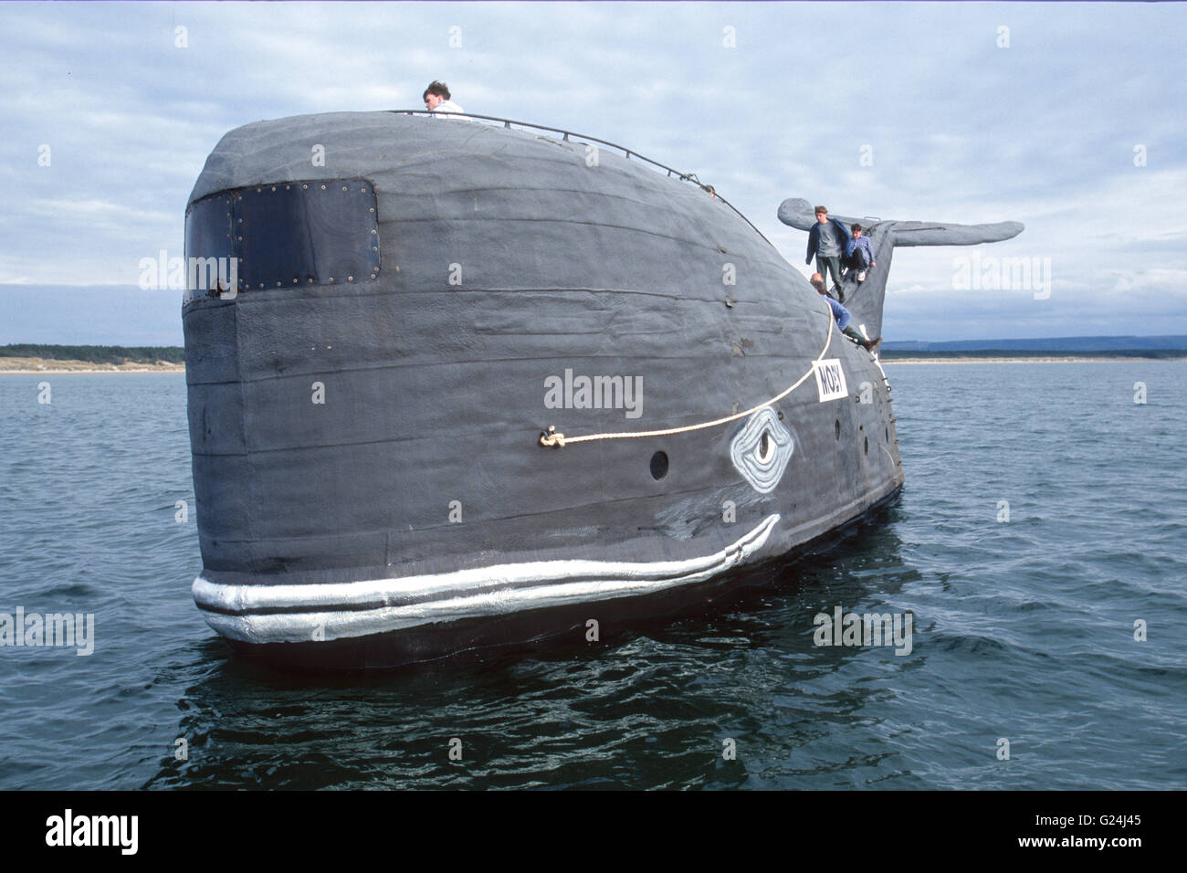 Tom Maclean s Ocean going whale with twin diesels on its maiden trip on ...