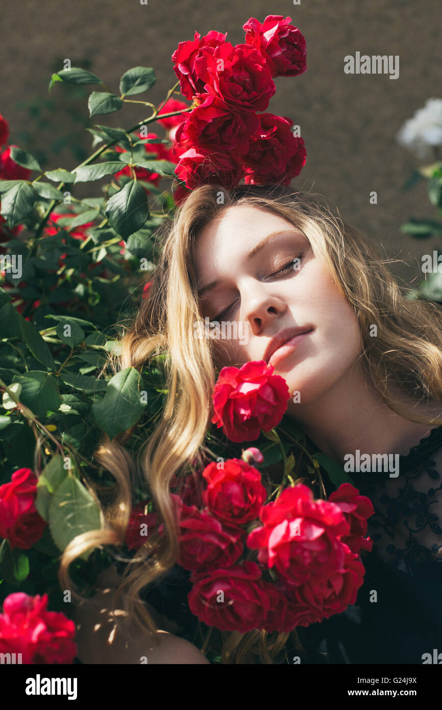 Portrait roses hi-res stock photography and images - Alamy