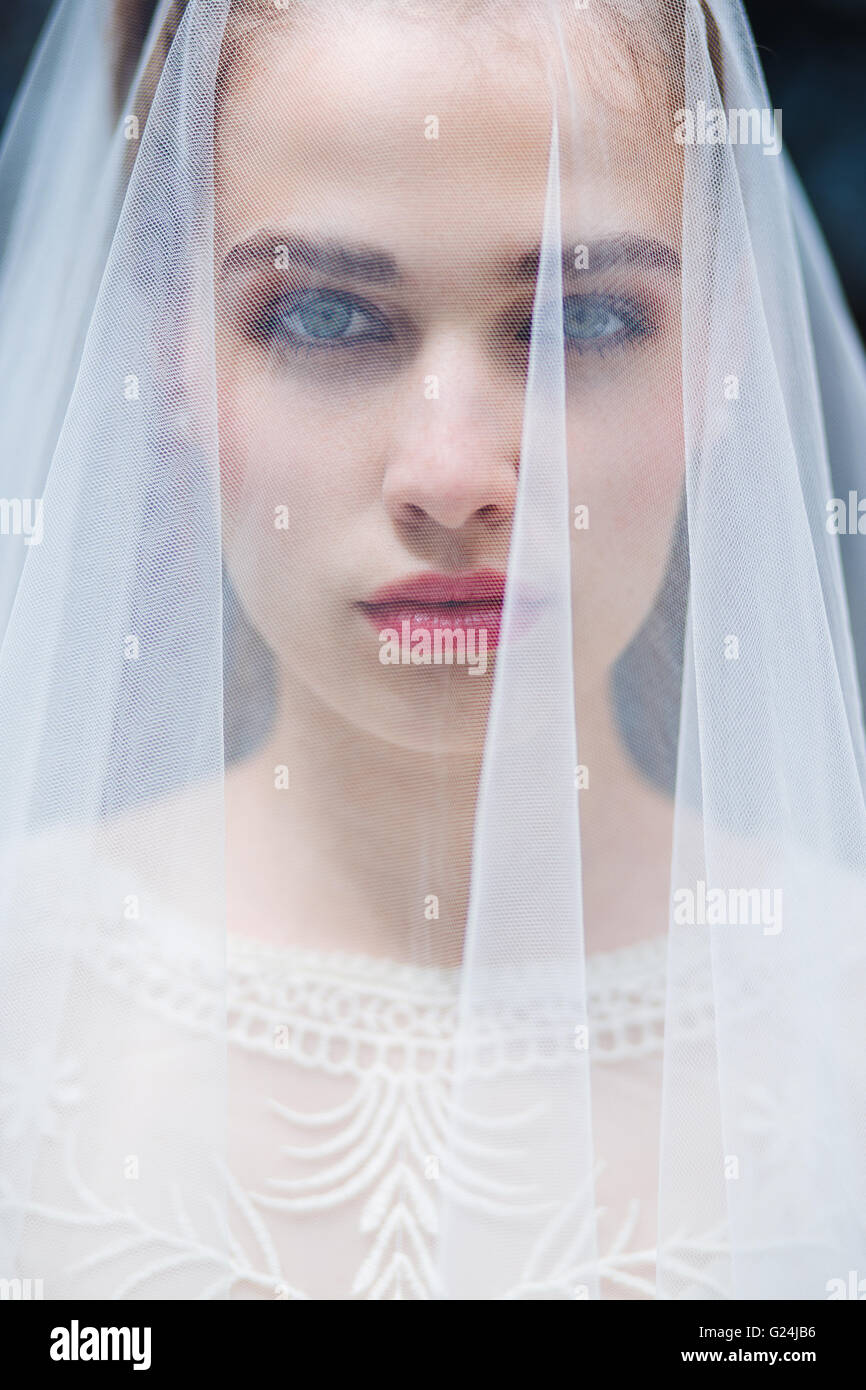 Portrait of a beautiful bride wearing veil Stock Photo - Alamy