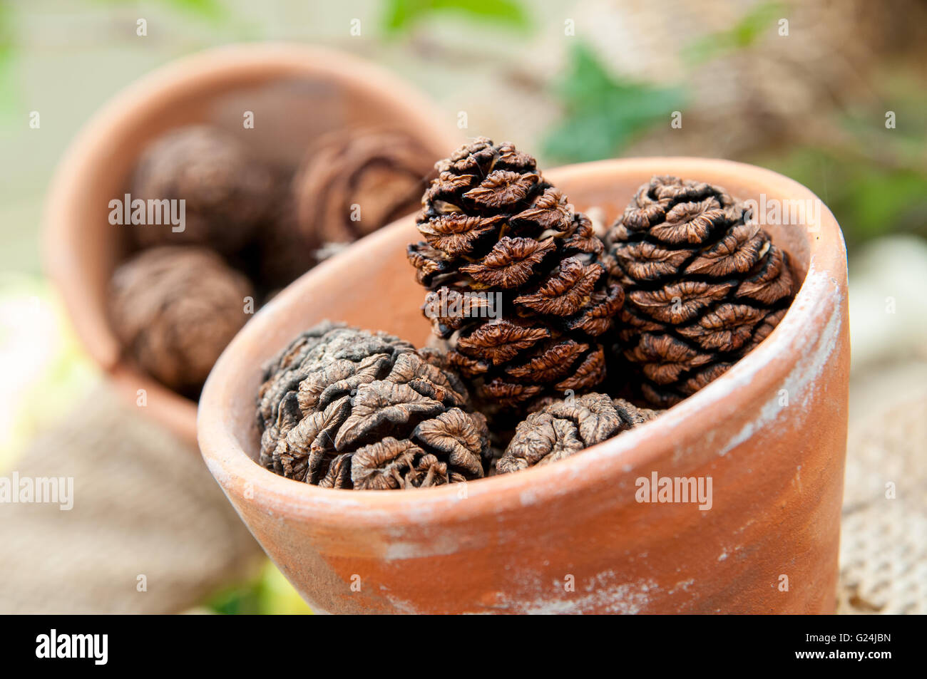 Ceramic pine cones hi-res stock photography and images - Alamy