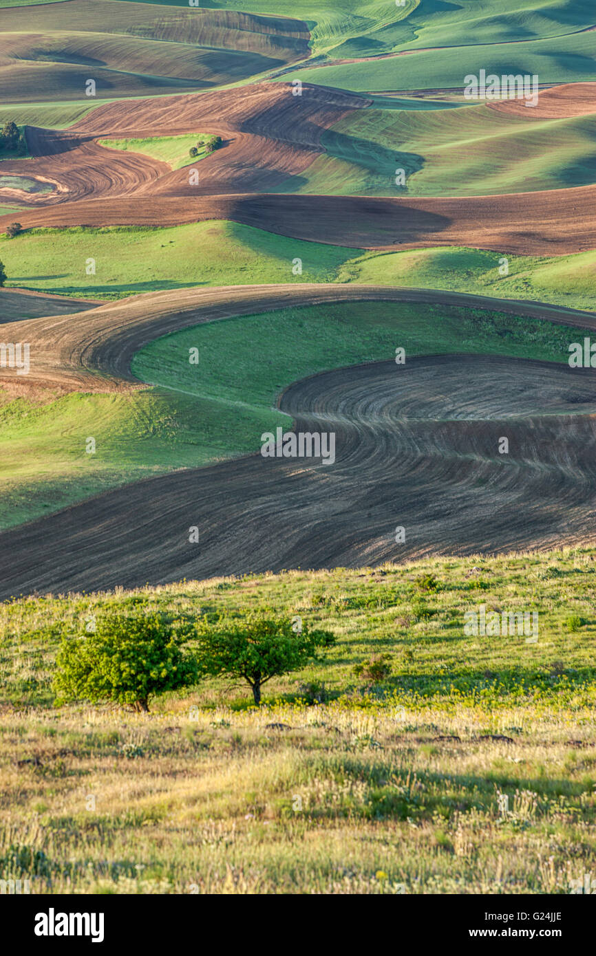 Palouse region eastern hi-res stock photography and images - Alamy