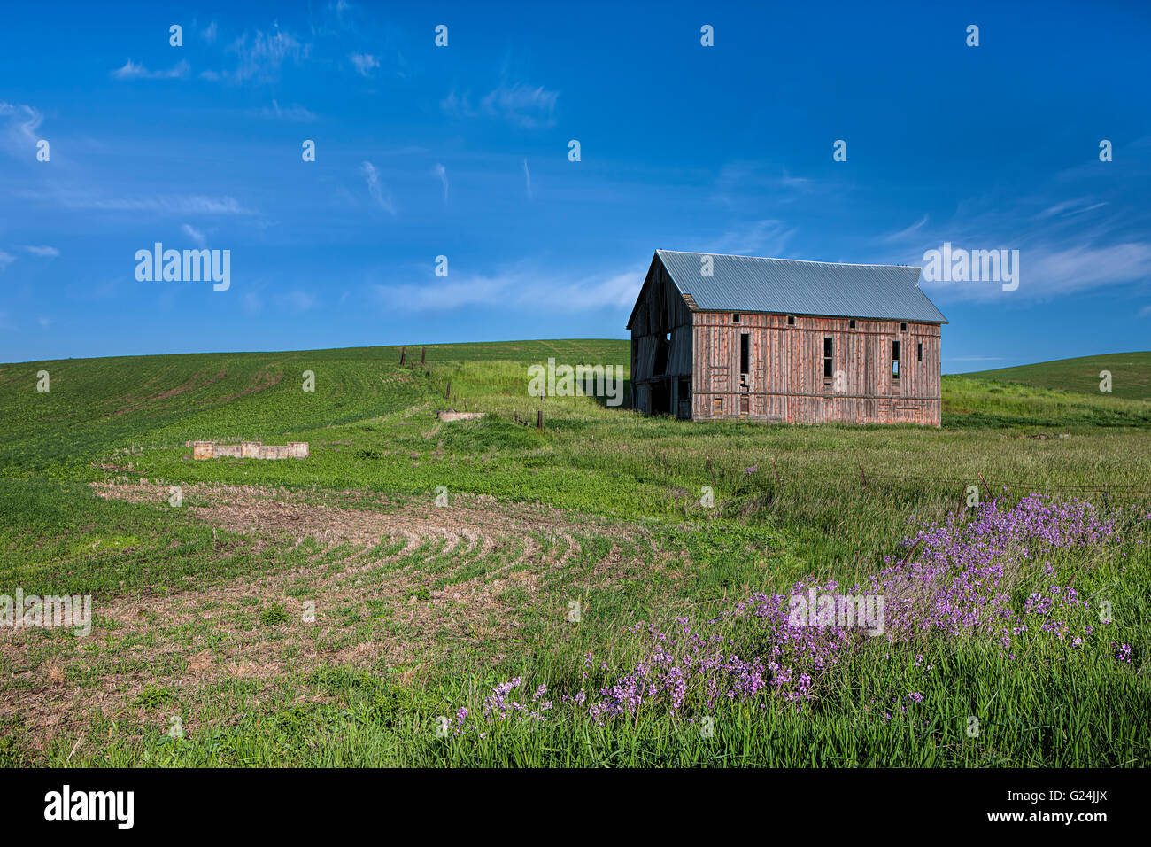 Old barn in green field Stock Photo - Alamy