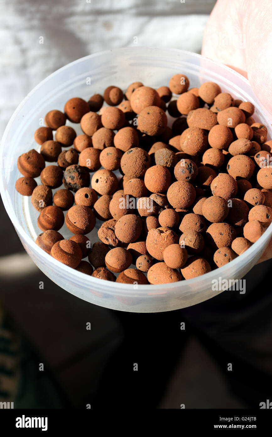 Expanded clay aggregate hi-res stock photography and images - Alamy