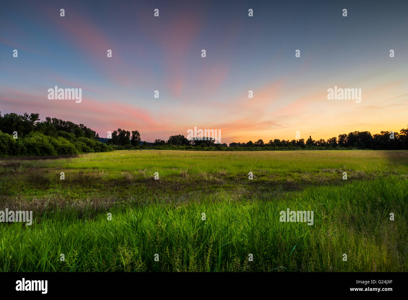 Salem oregon hi-res stock photography and images - Alamy