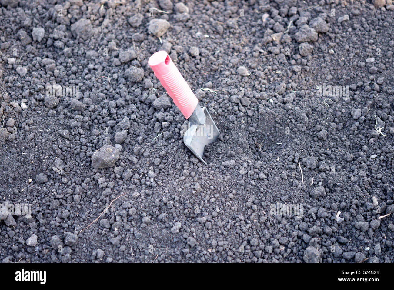 close up shot of shovel in soil Stock Photo - Alamy