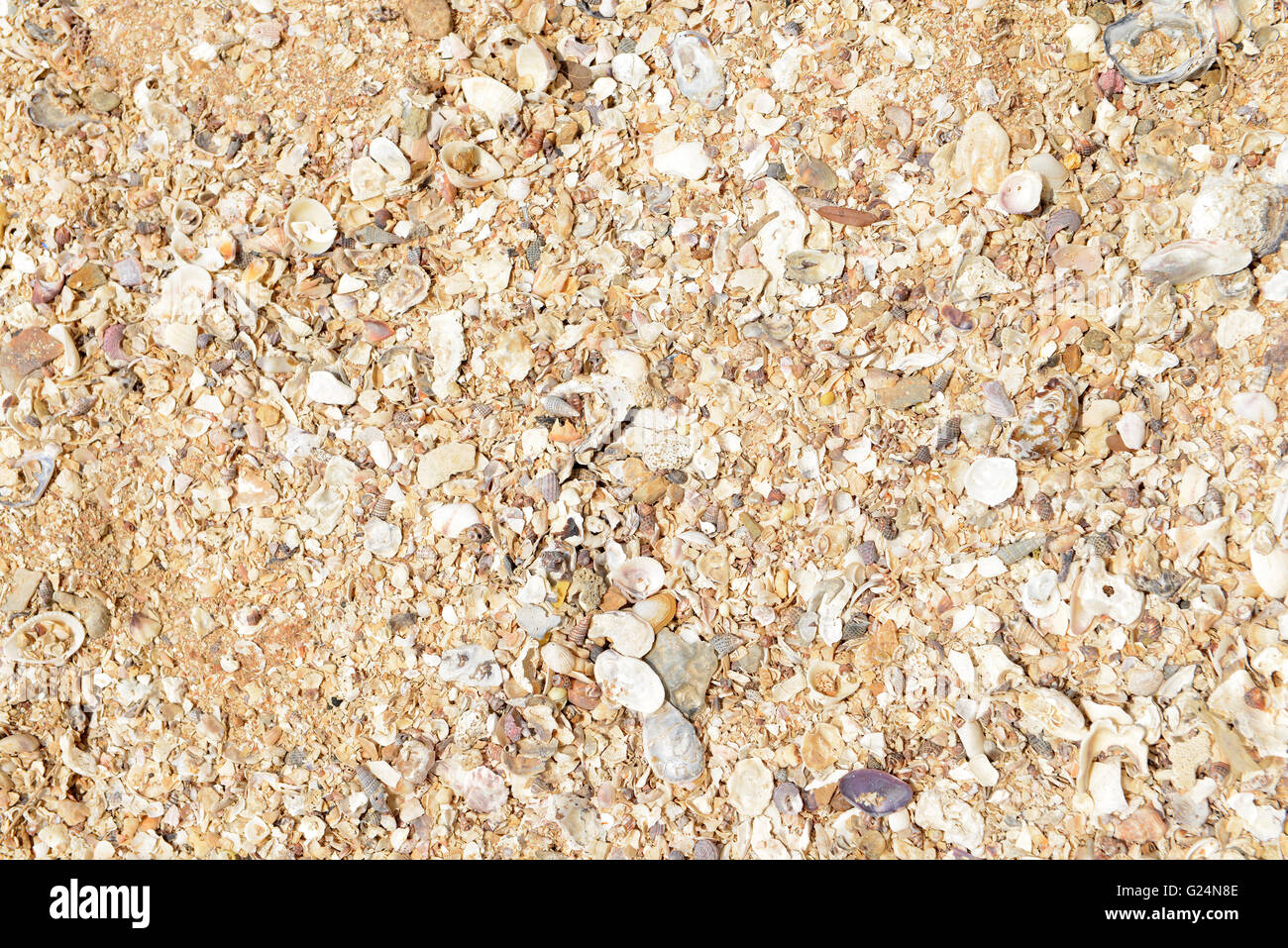 Natural texture hi-res stock photography and images - Alamy
