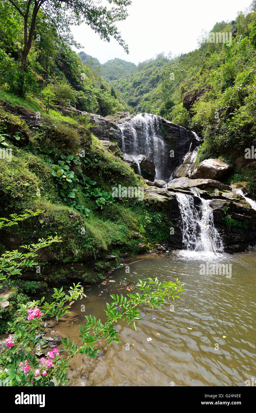 Waterfall at Rock Garden, Darjeeling, West Bengal, India Stock Photo ...
