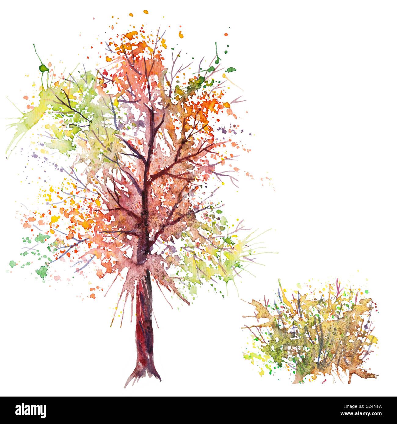Watercolor splash tree and bush Stock Photo - Alamy