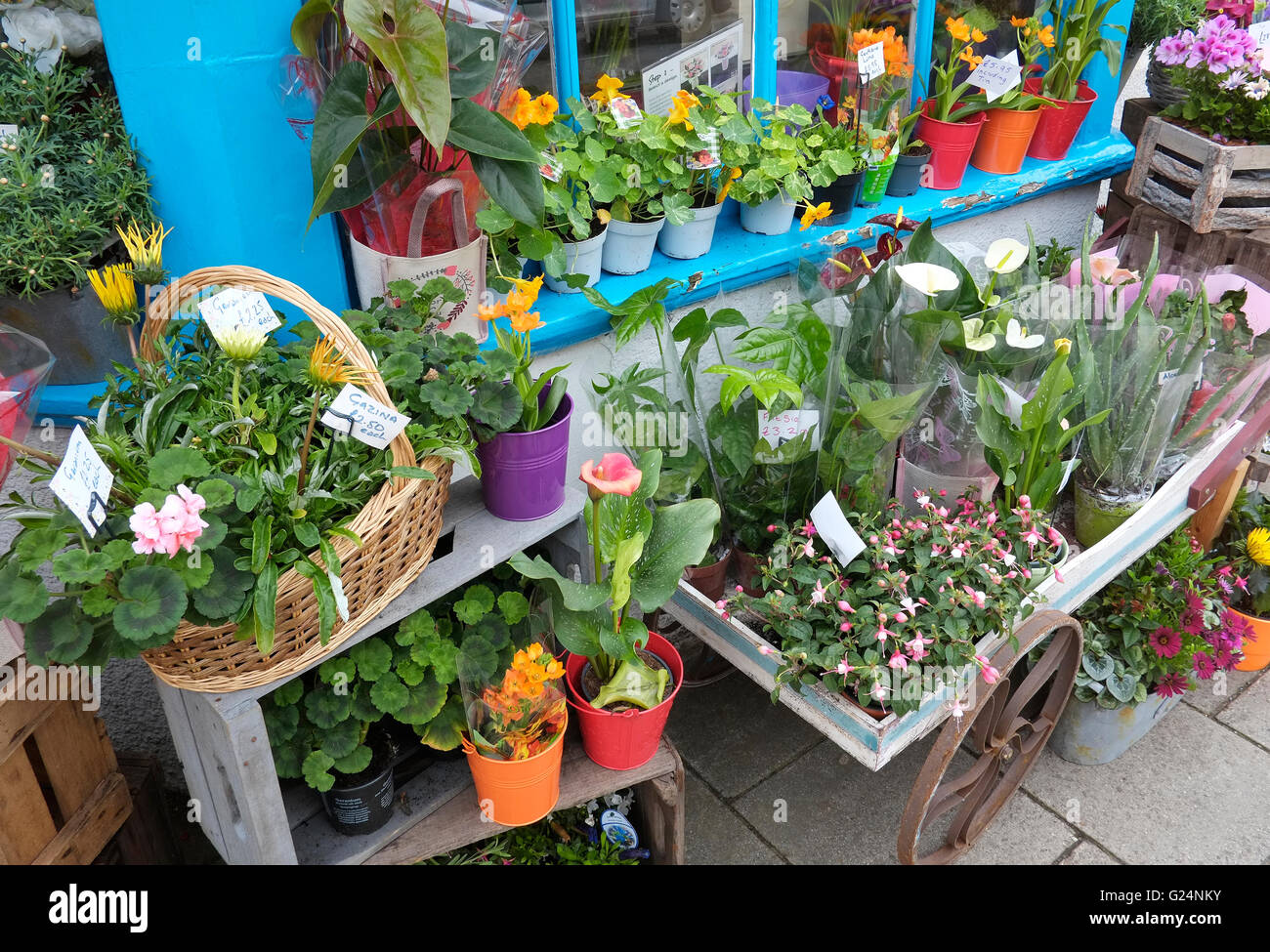 floral display outside florist shop in sheringham, north norfolk ...