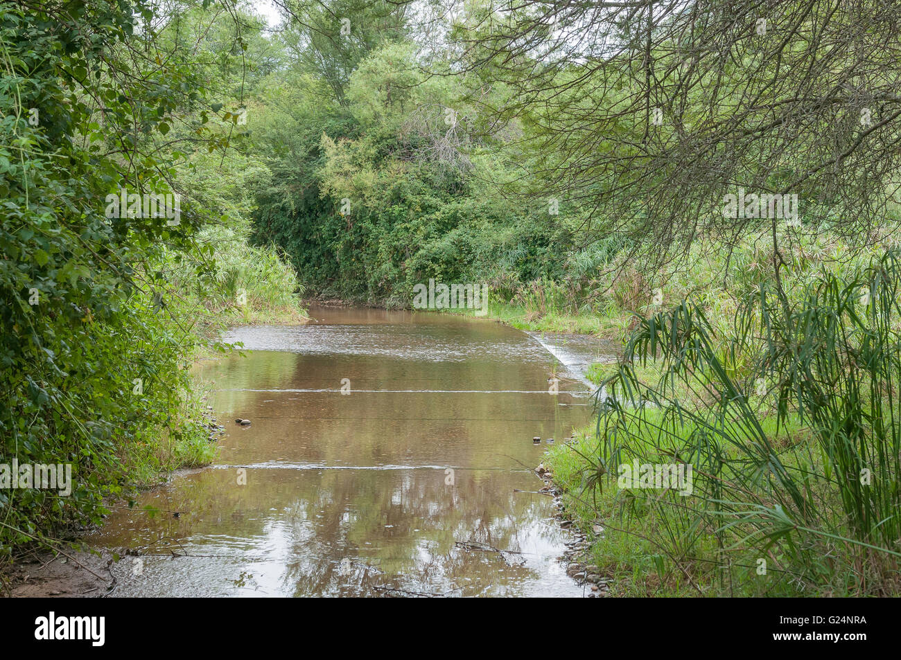 The road through the wilderness area in the Baviaanskloof (baboon ...