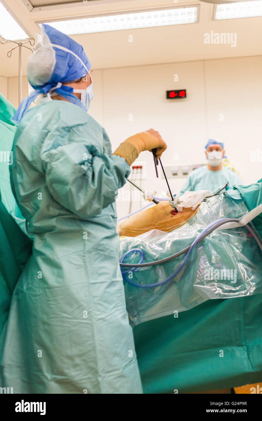 Surgical laparoscopy and hysteroscopy exploration here, treatment of ...