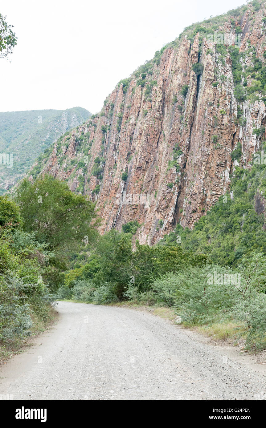 A geological fold in the Baviaanskloof (baboon valley). It occurs when ...