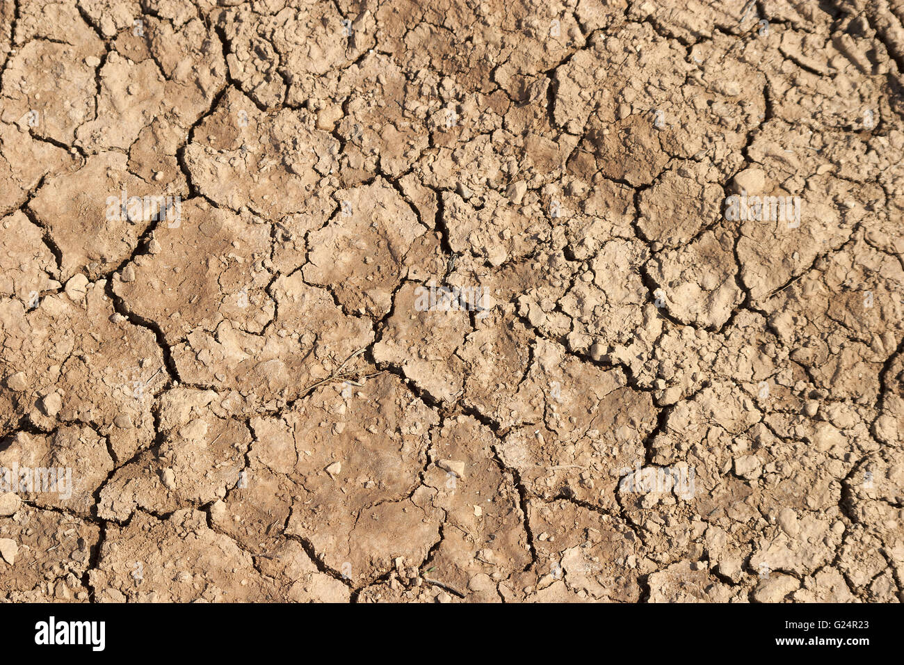 Light Brown Soil