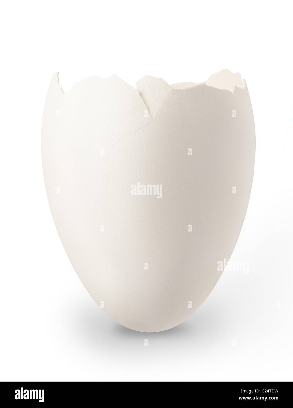 Part of white chicken eggshell isolated on white background Stock Photo ...