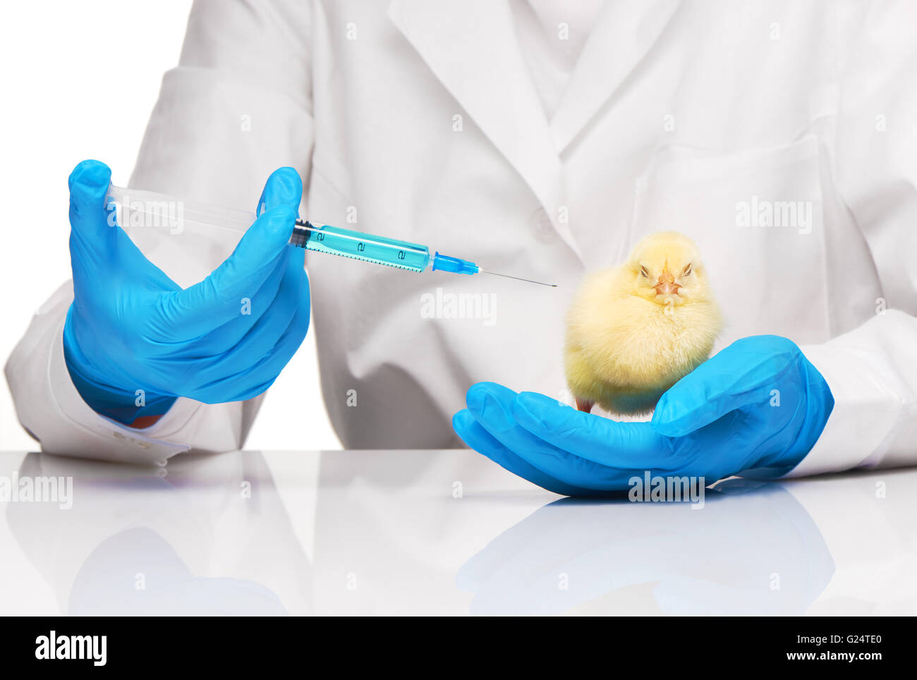Chicken injection hi-res stock photography and images - Alamy