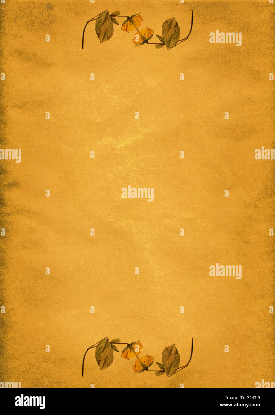 Retro yellow flower border on old sepia paper Stock Photo - Alamy