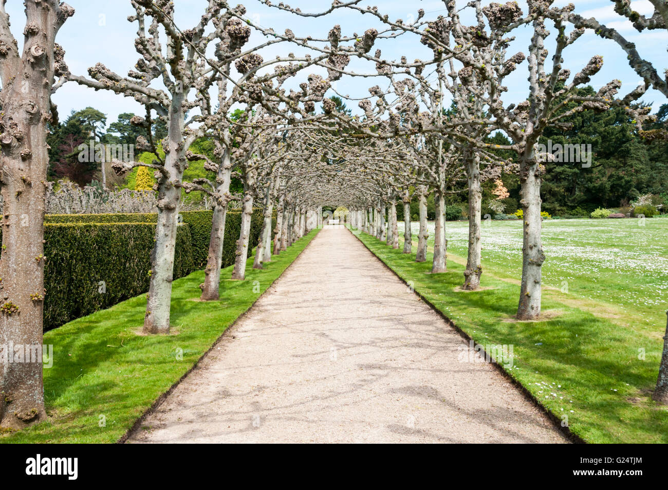 Gravel Walks High Resolution Stock Photography and Images - Alamy