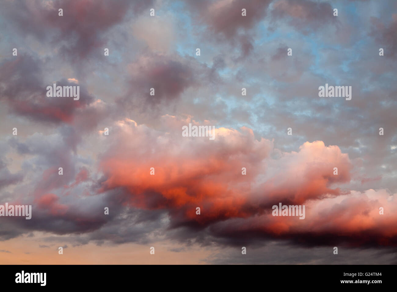 Strong orange colour hi-res stock photography and images - Alamy