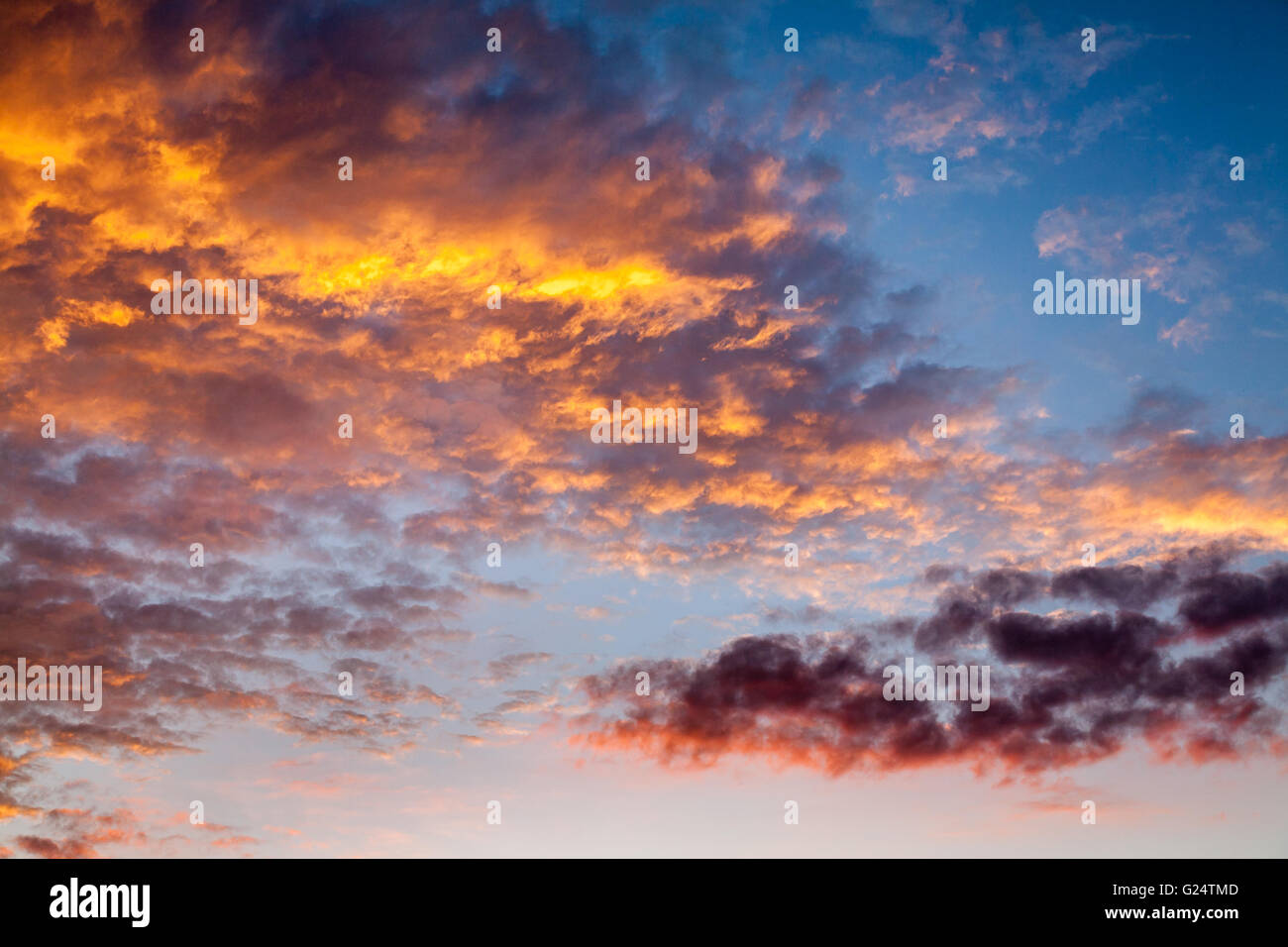 Strong colours hi-res stock photography and images - Alamy