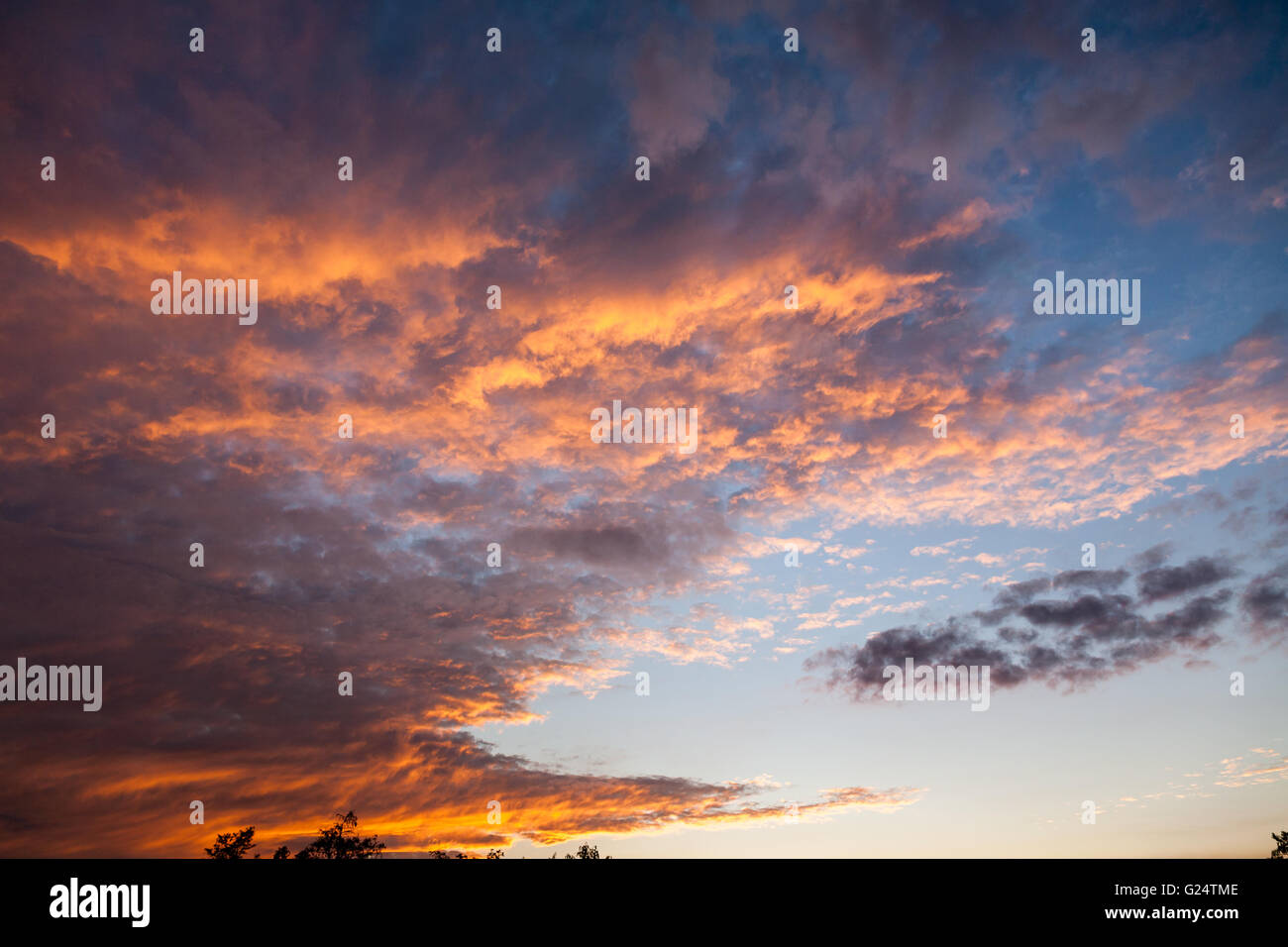 Strong orange yellow colours hi-res stock photography and images - Alamy