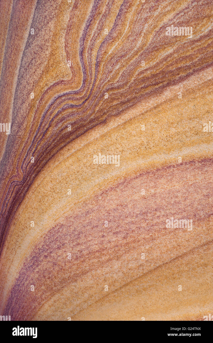 Curved pattern hi-res stock photography and images - Alamy