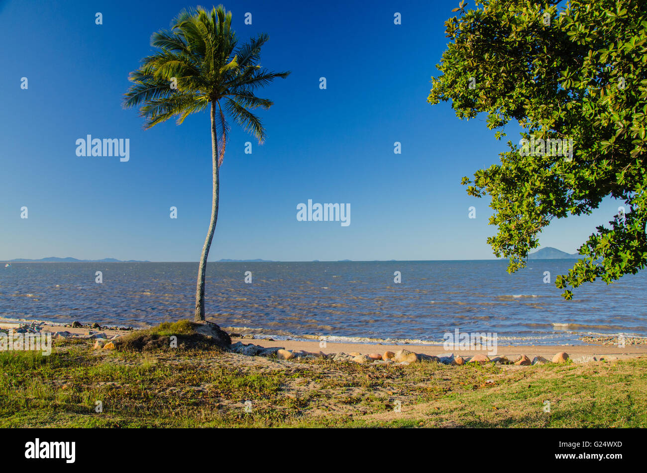 Palms and water hi-res stock photography and images - Alamy