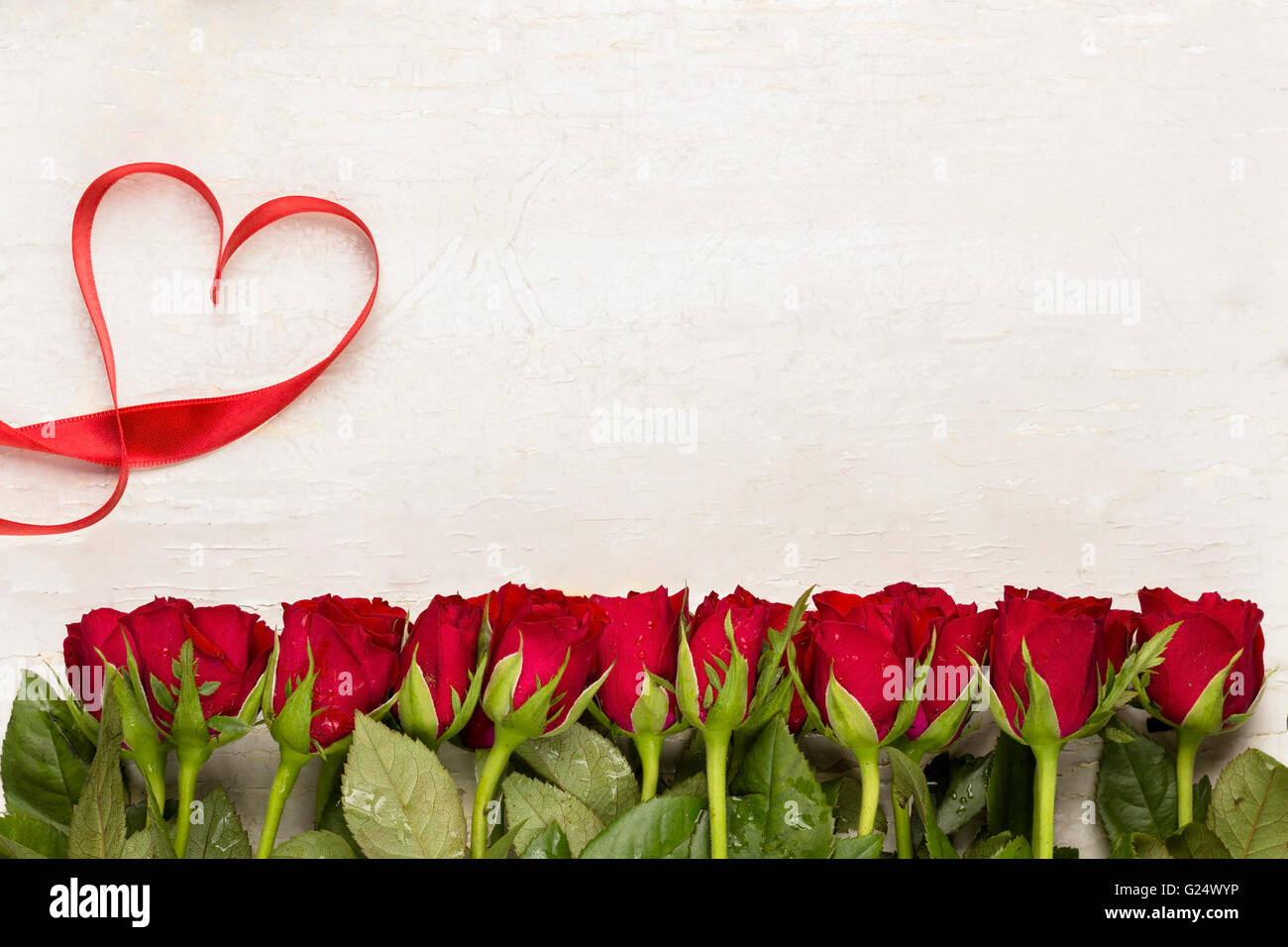 Red roses on white background Stock Photo - Alamy