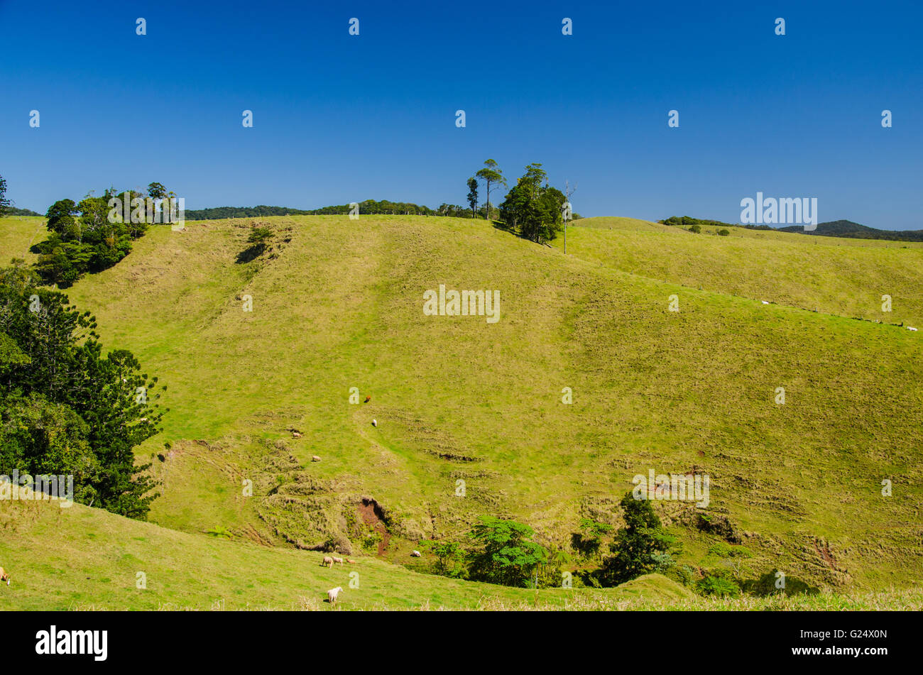 Atherton tableland hi-res stock photography and images - Alamy
