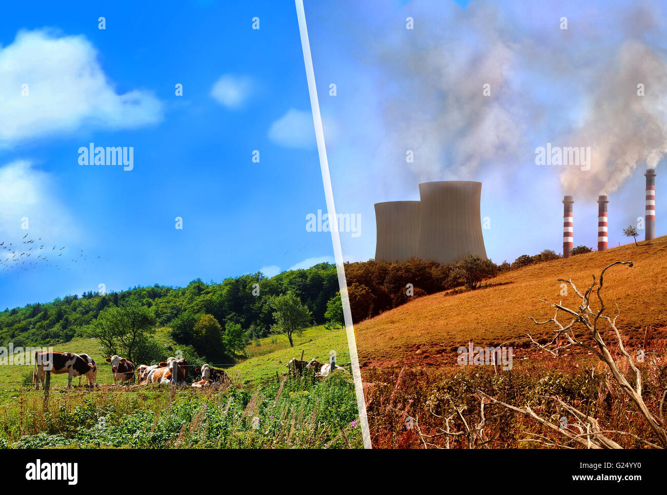Ai Nature Landscape Comparison ai-nature-landscape-comparison