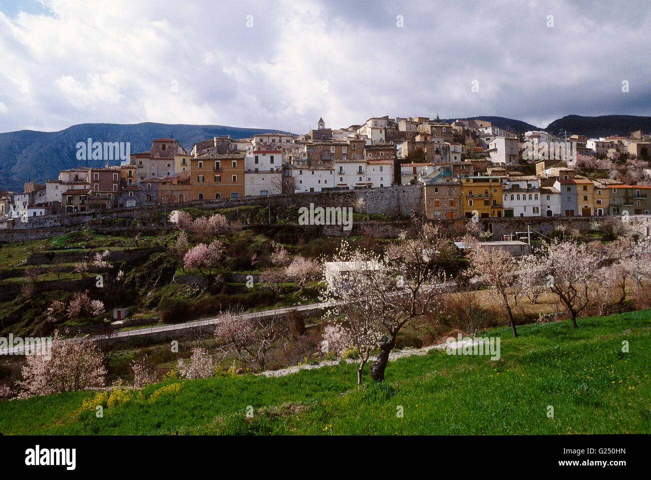 fruit trees in blossom at Ofena (Abruzzo Stock Photo - Alamy