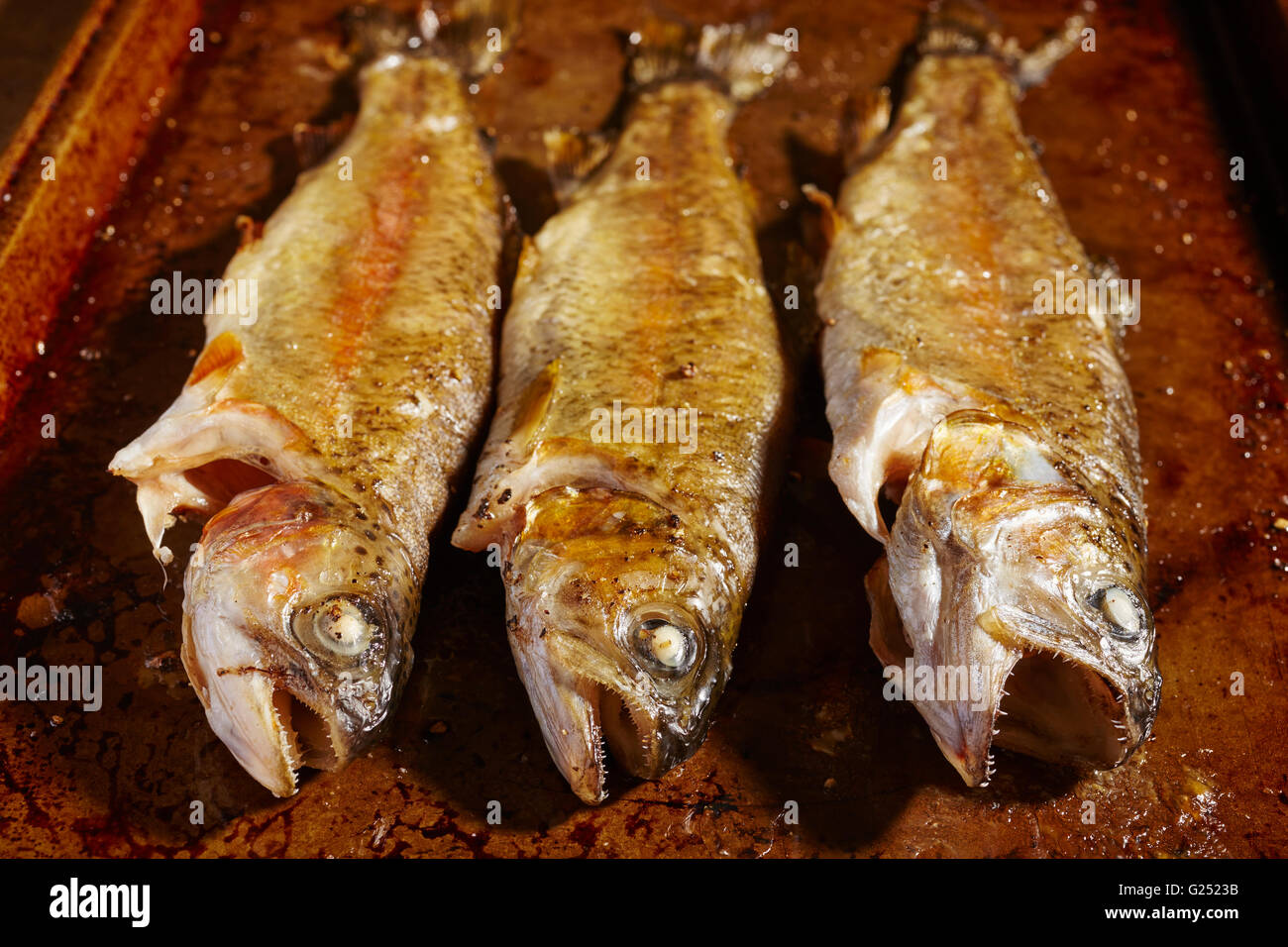 baked whole brook trout Stock Photo - Alamy