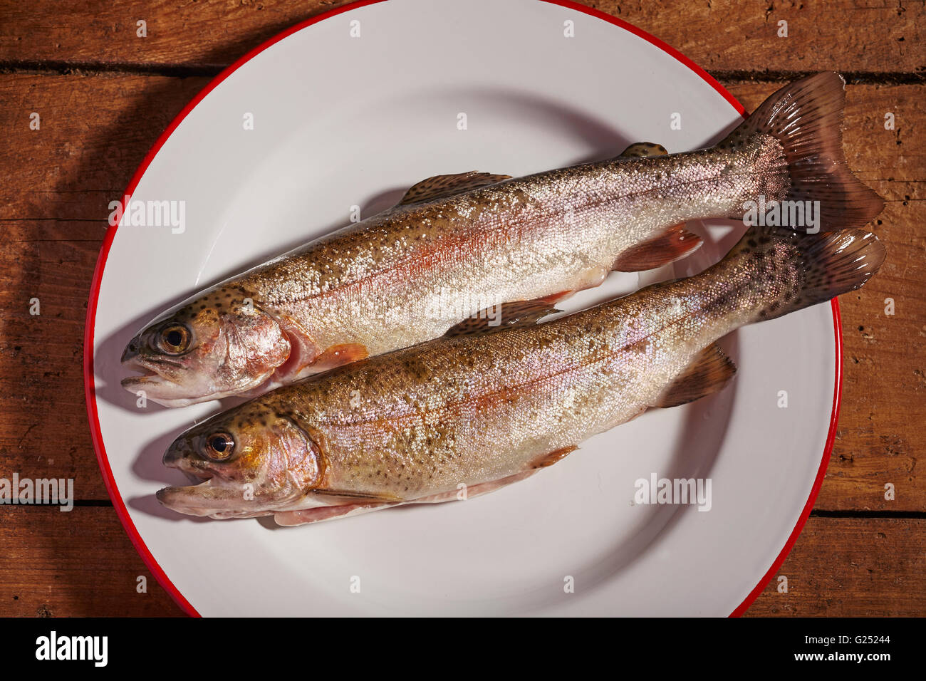 American brook trout hi-res stock photography and images - Alamy