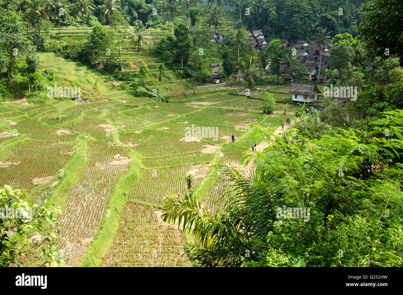 Sundanese traditional village Stock Photo - Alamy