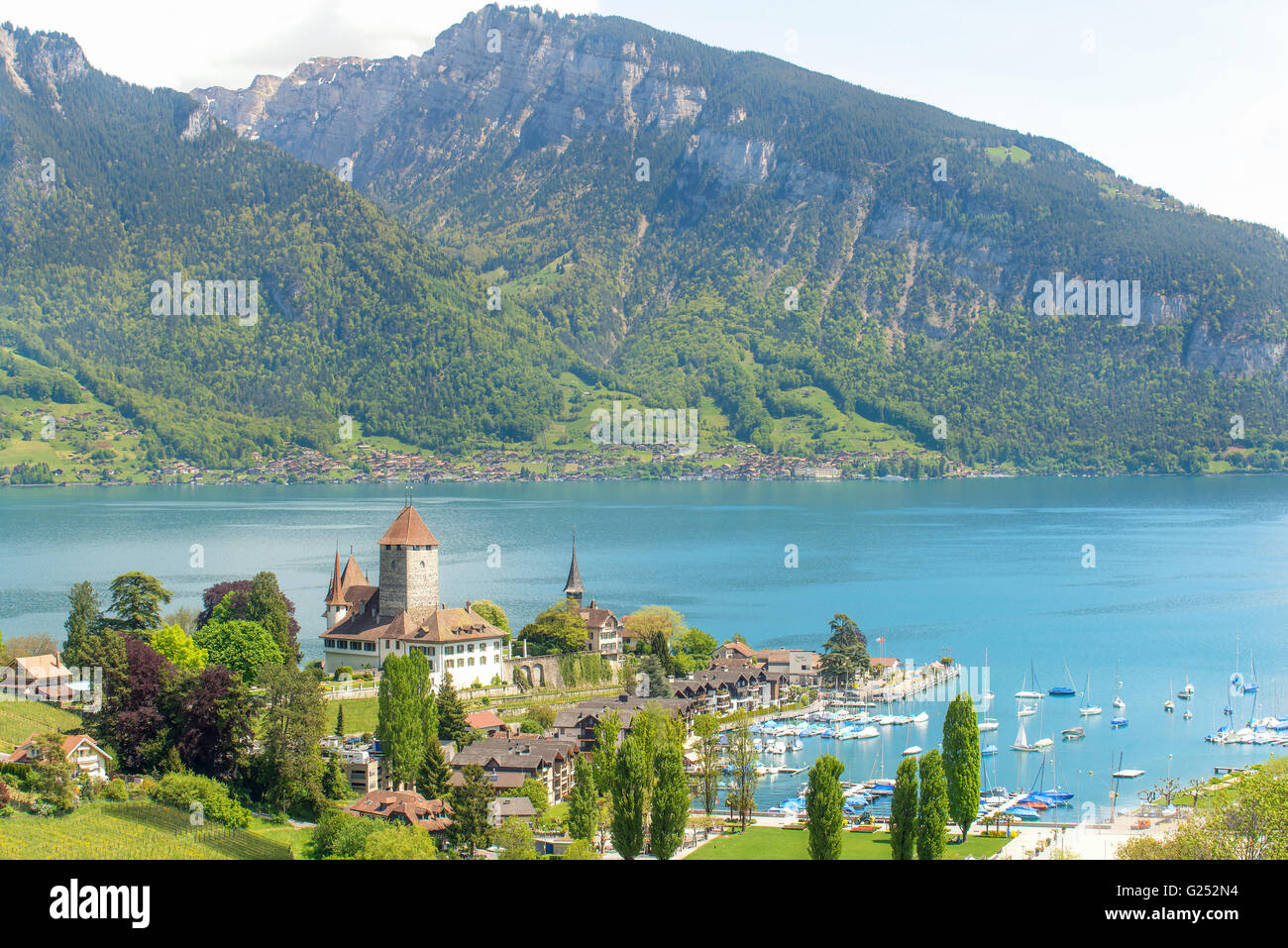 Spiez castle on lake Thun in Bern, Switzerland Stock Photo - Alamy