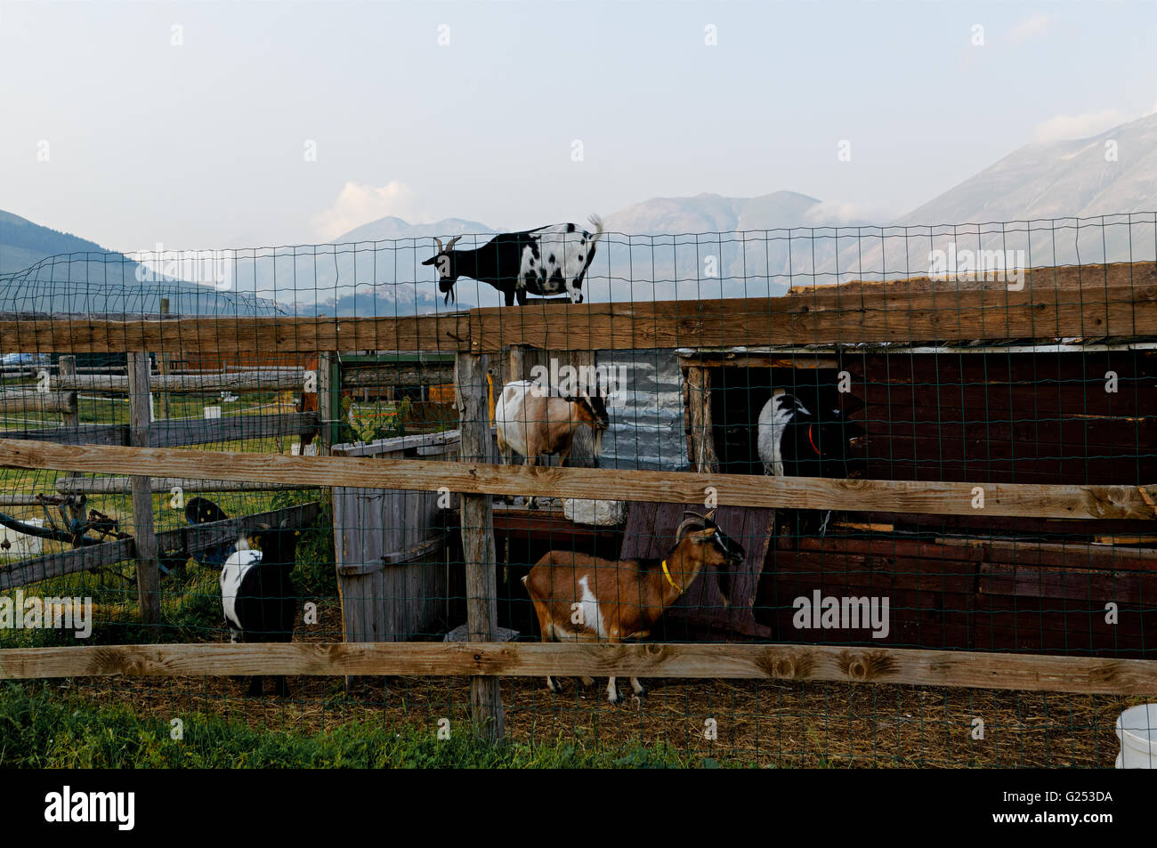 equipment. Castelluccio. mower, agriculture. Umbria, Italy Stock Photo ...