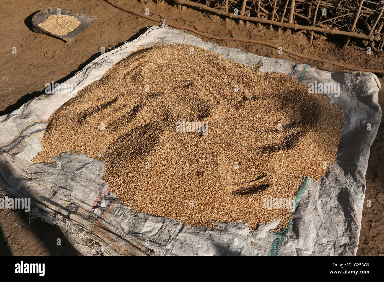 Boti hi-res stock photography and images - Alamy