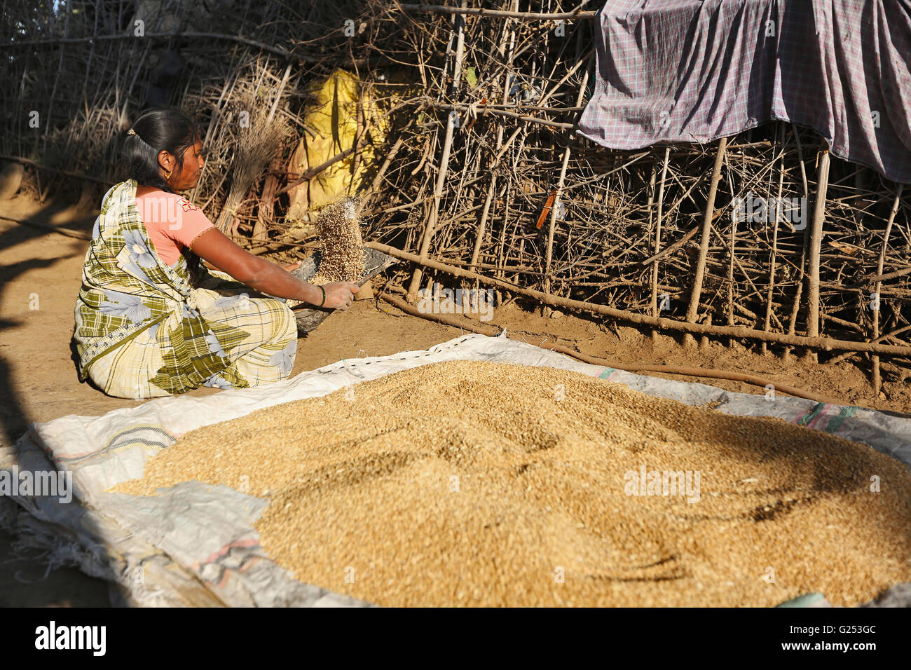 Traditional indigenous native primitive hi-res stock photography and ...