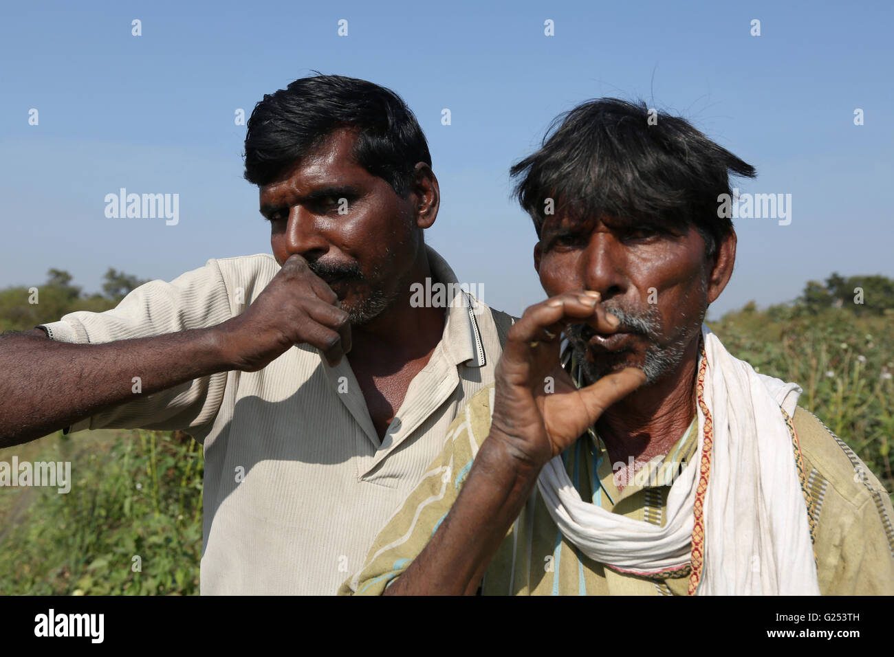 Pardhi Tribe - Fase Pardhi hunters bird calling to catch quails ...