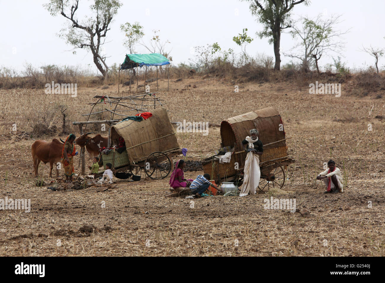 KORKU TRIBE - Bullock cart and house - Way to Lavada - Tah Dharni Stock ...