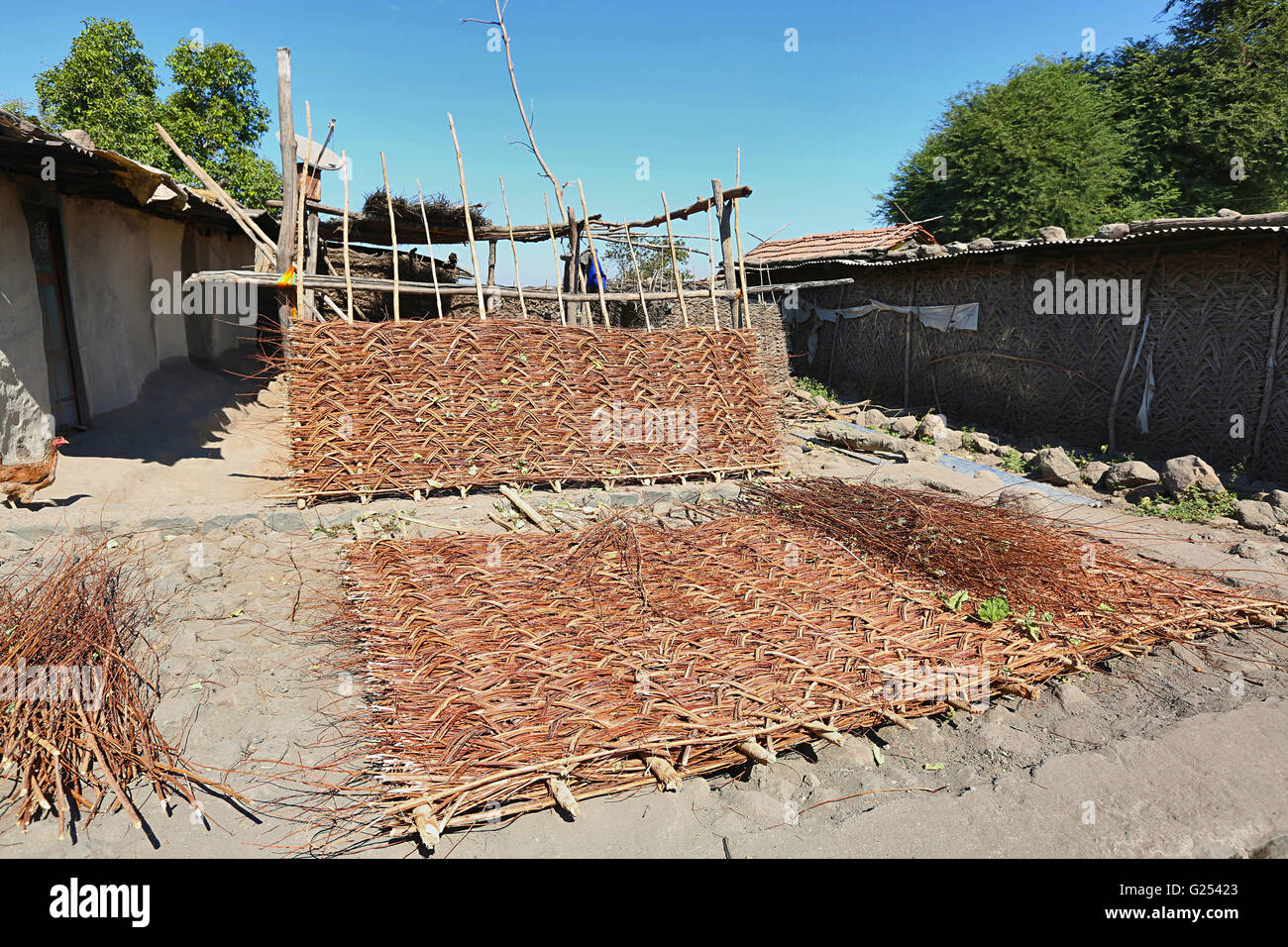 ANDH TRIBE - Wattle wall to be covered in dung and mud to prevent cold ...
