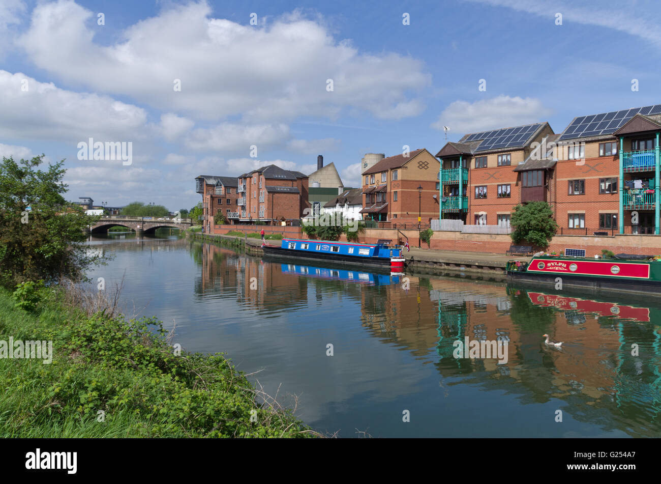 River nene northampton hi-res stock photography and images - Alamy