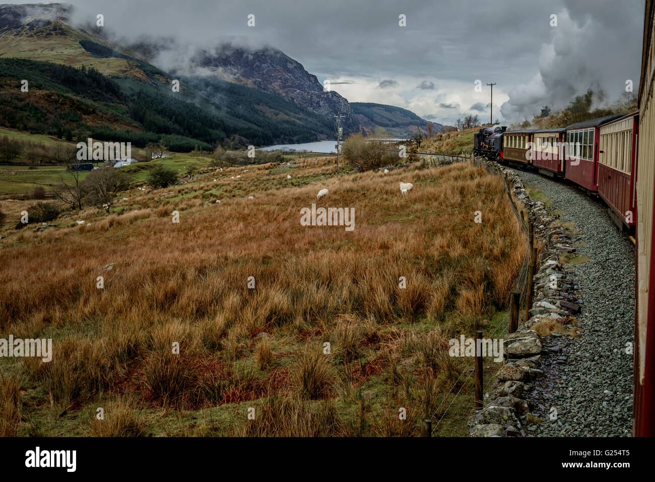 Welsh steam train hi-res stock photography and images - Alamy