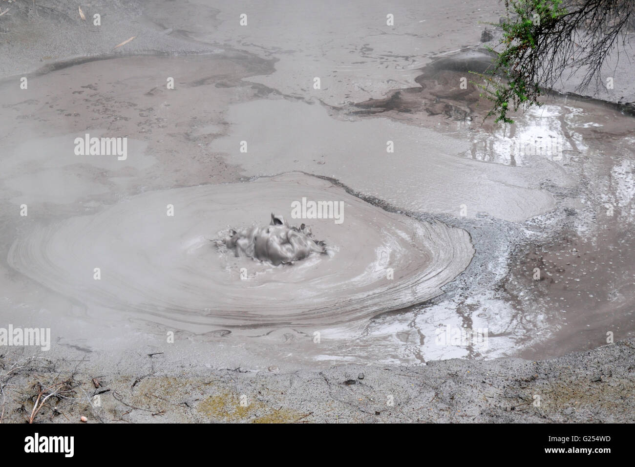 Mud Pool, Kuirau Park, Rotorua Stock Photo - Alamy