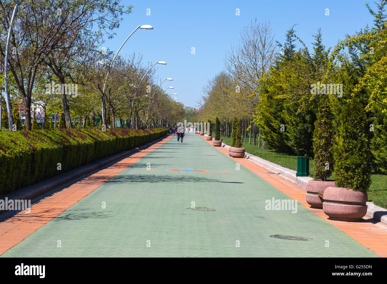 View of pathway in a natural park with green trees around, on bright ...