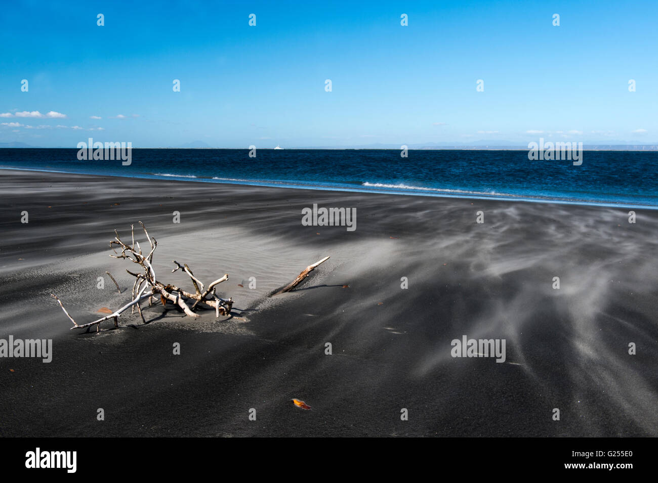 San ignacio lagoon hi-res stock photography and images - Alamy