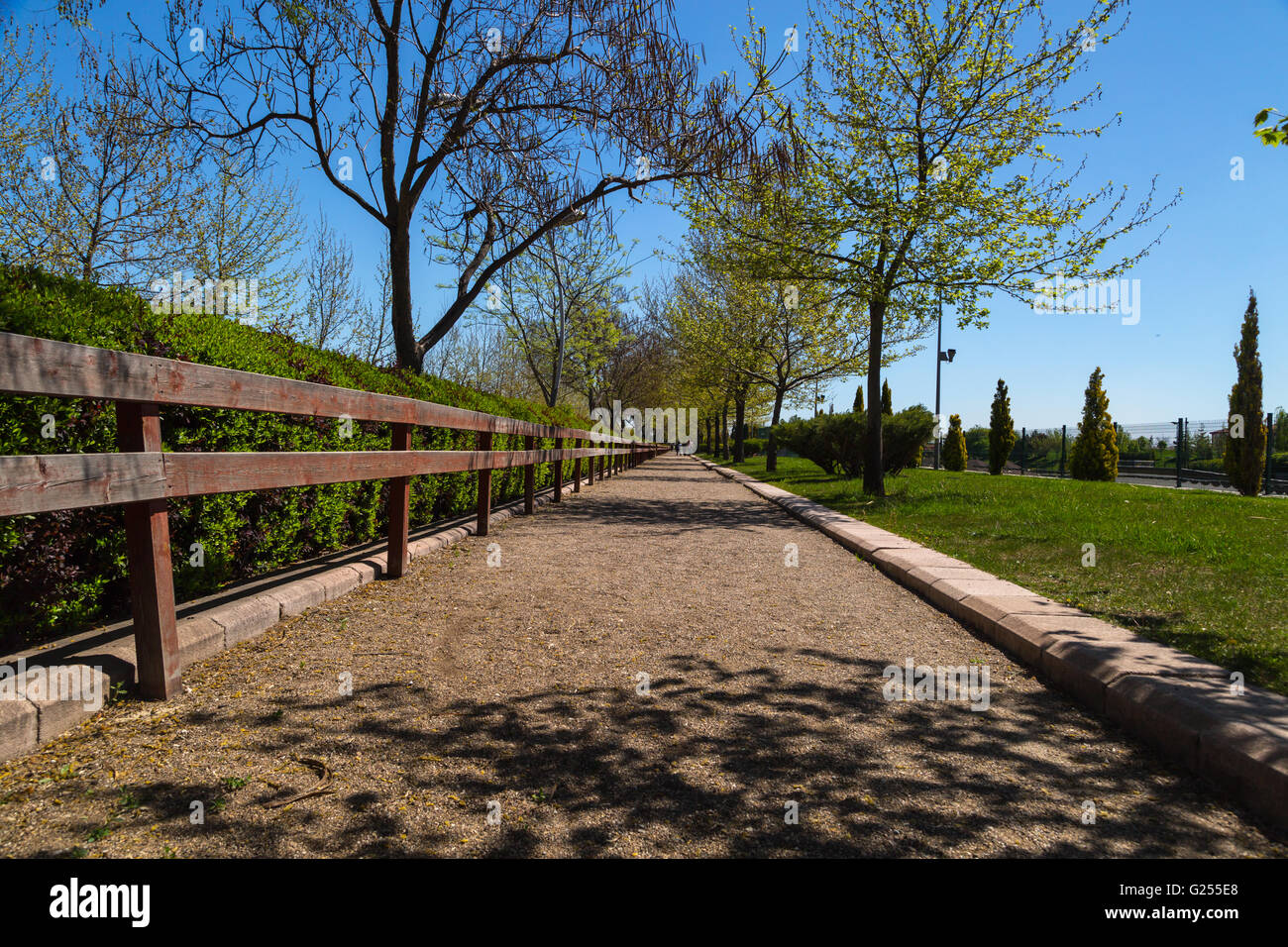 View of pathway in a natural park with green trees around, on bright ...