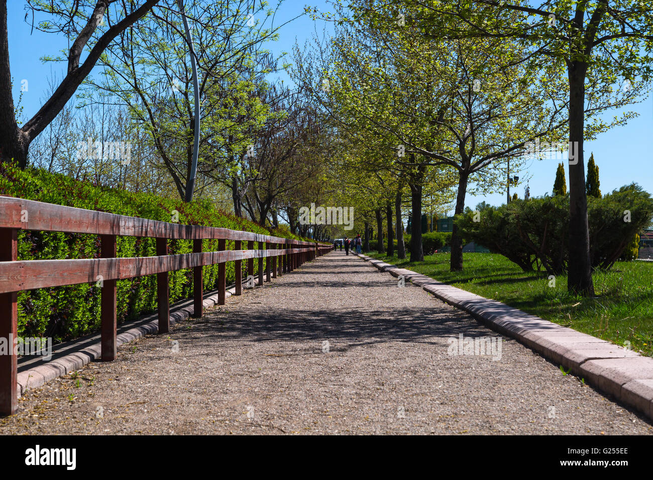 View of pathway in a natural park with green trees around, on bright ...