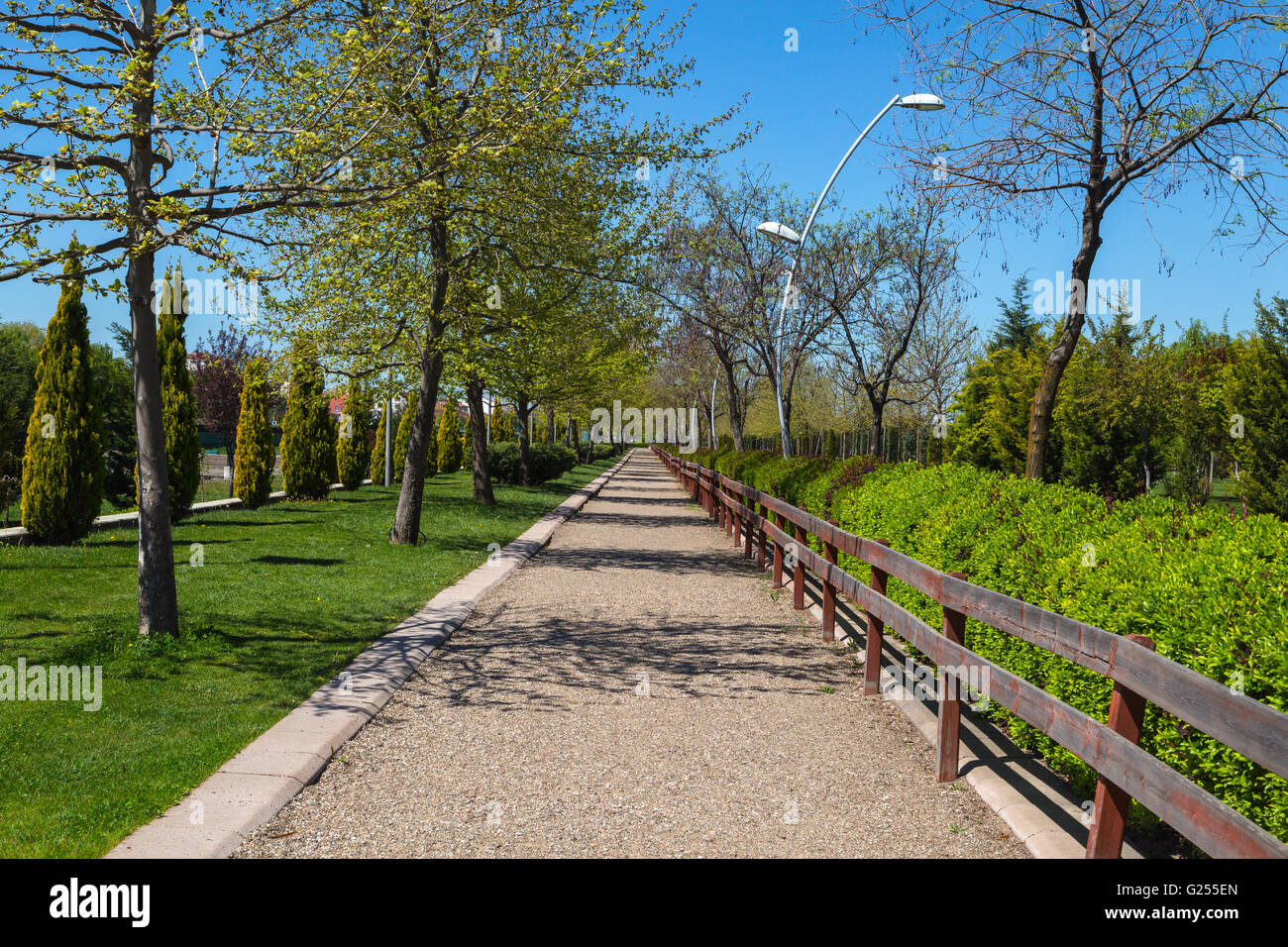 View of pathway in a natural park with green trees around, on bright ...
